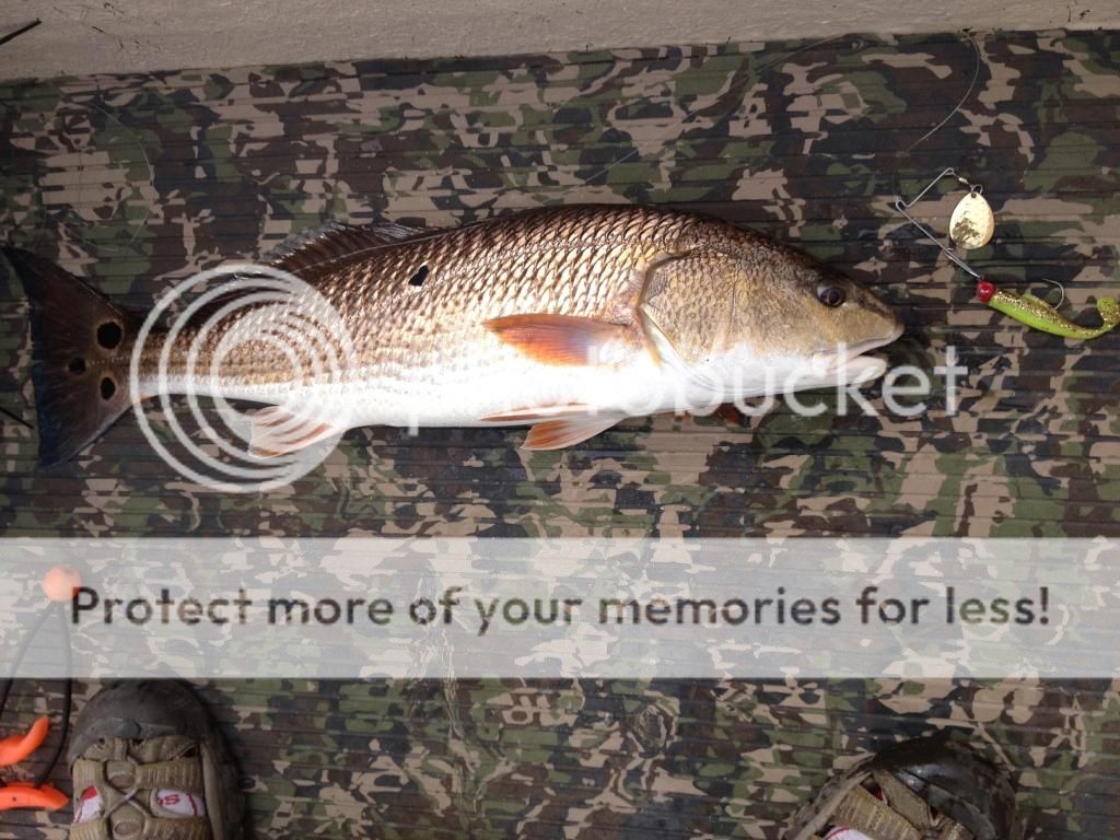 New Towee rivermaster 16 | Dedicated To The Smallest Of Skiffs