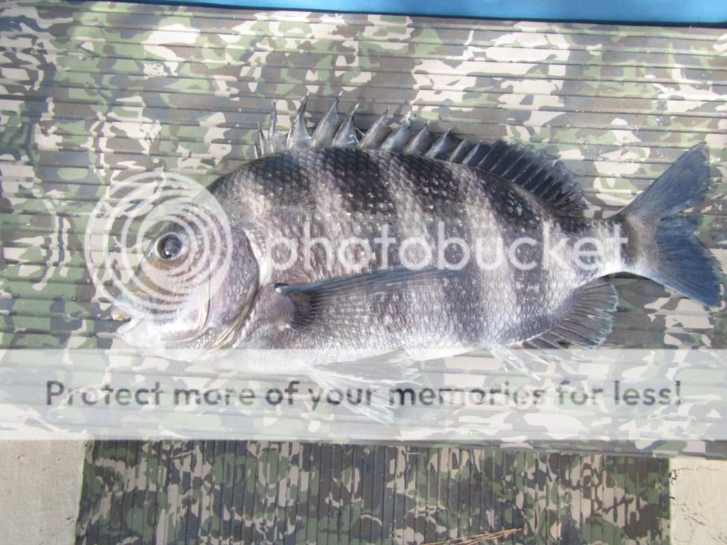 New Towee rivermaster 16 | Dedicated To The Smallest Of Skiffs