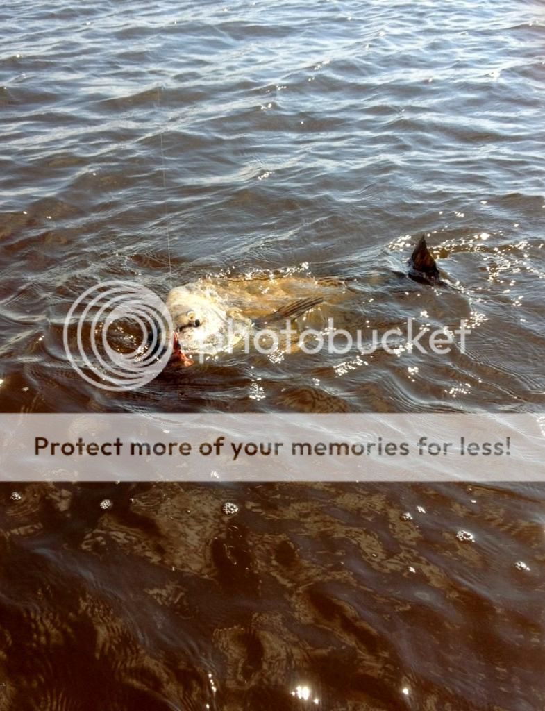 New Towee rivermaster 16 | Dedicated To The Smallest Of Skiffs