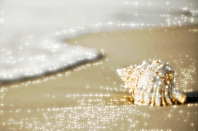 Seashell gif by NewBeginnings2 | Photobucket
