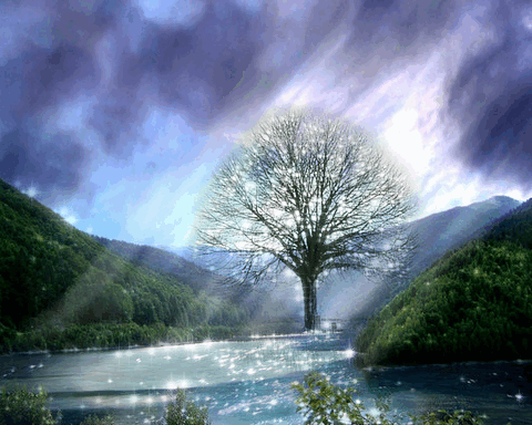 Tree gif by NewBeginnings2 | Photobucket